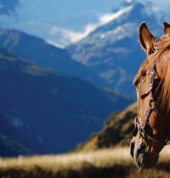 Queenstown Lord Of The Rings Tour & Activities | Everything Queenstown